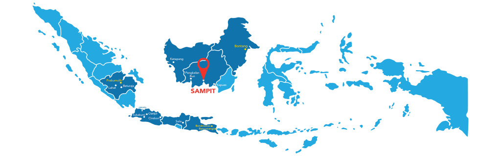 Citimall Sampit – NWP Property